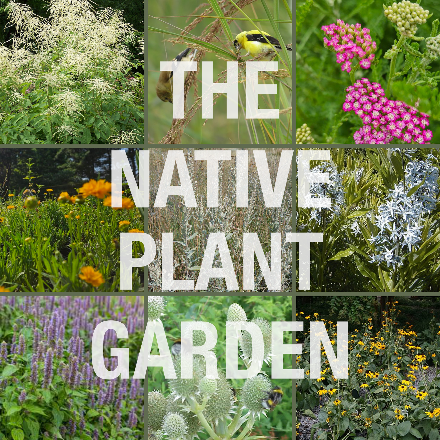 The Hudson Valley Native Garden – The Old Dairy Nursery & Gardens